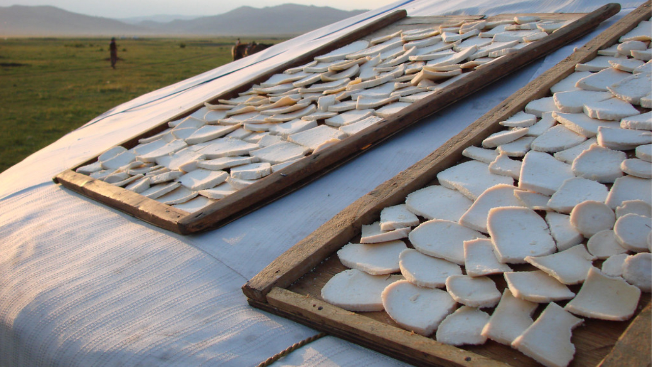 Aaruul – Dried Curds – AARHAL.COM