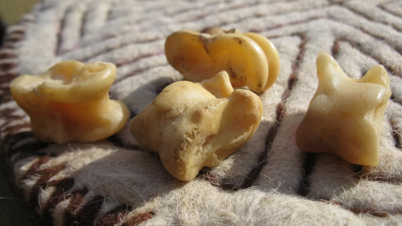 Mongolian toys and games – AARHAL.COM